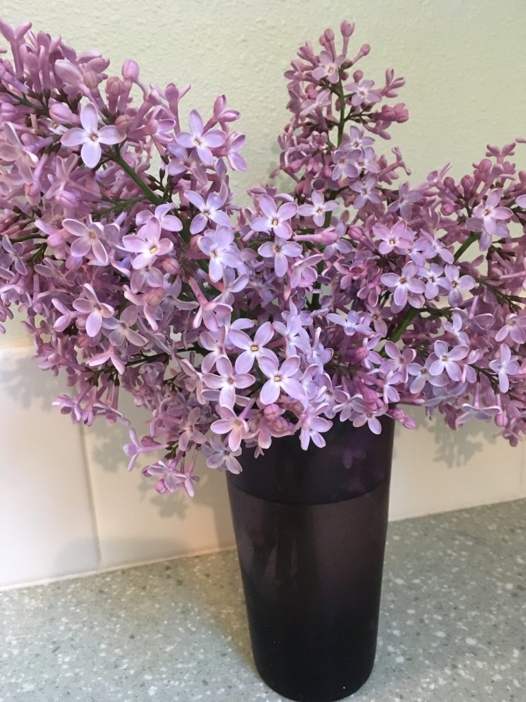Making May Day Memorable | Green Gardening With Ann Lovejoy
